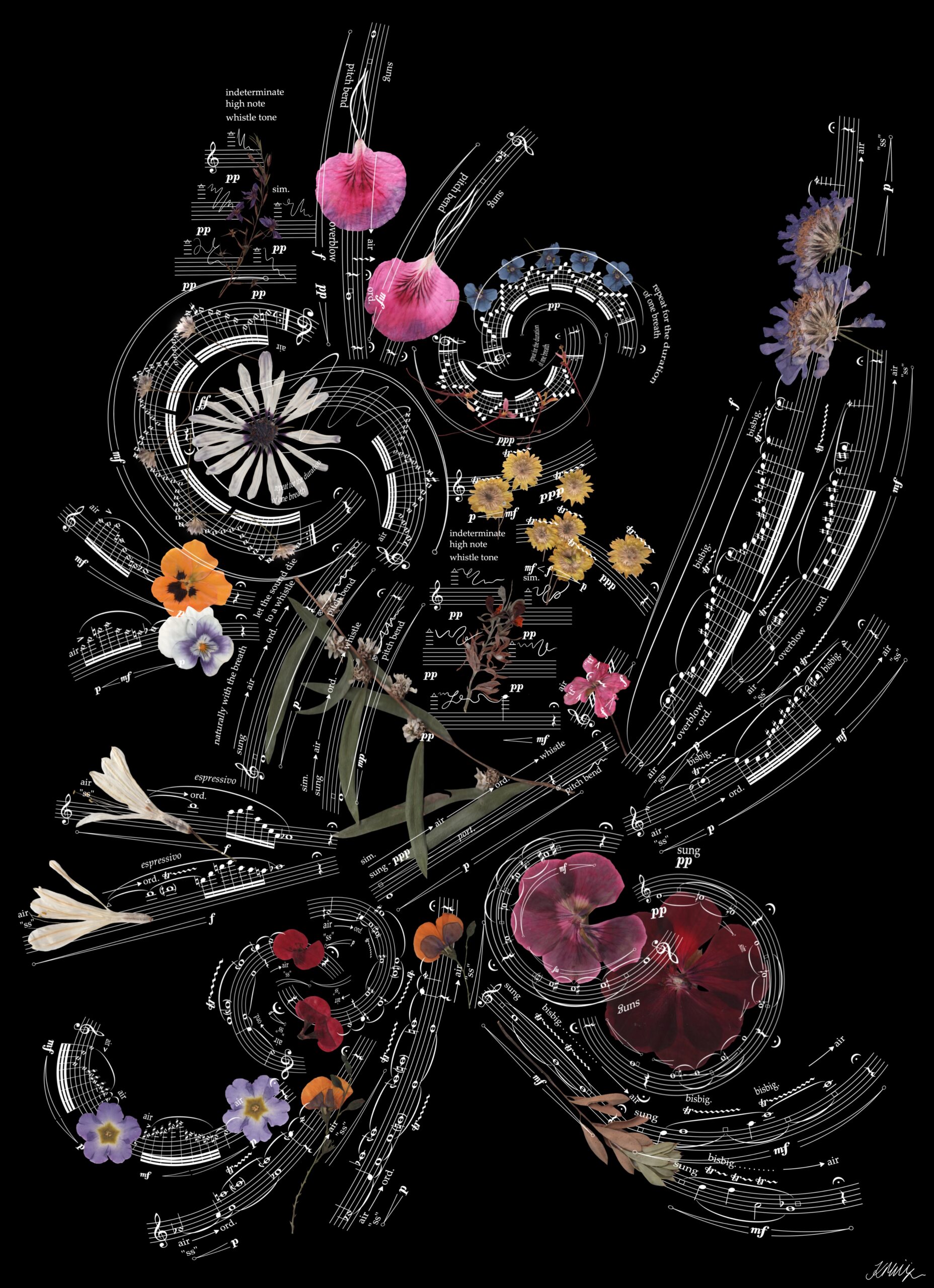 Still Life • KATE MILLIGAN